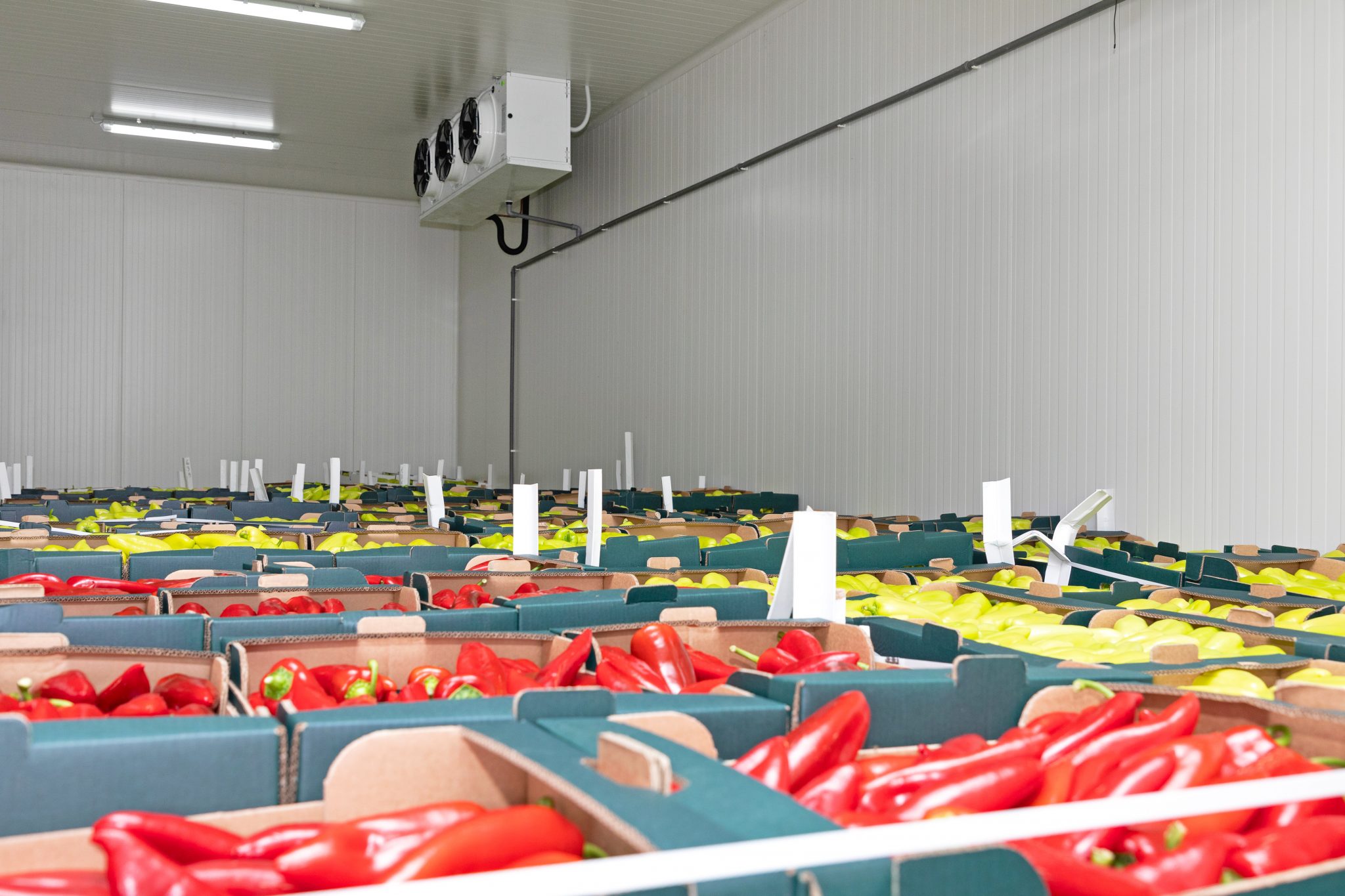 Process Chillers for Cold Rooms - RPS Cooling UK